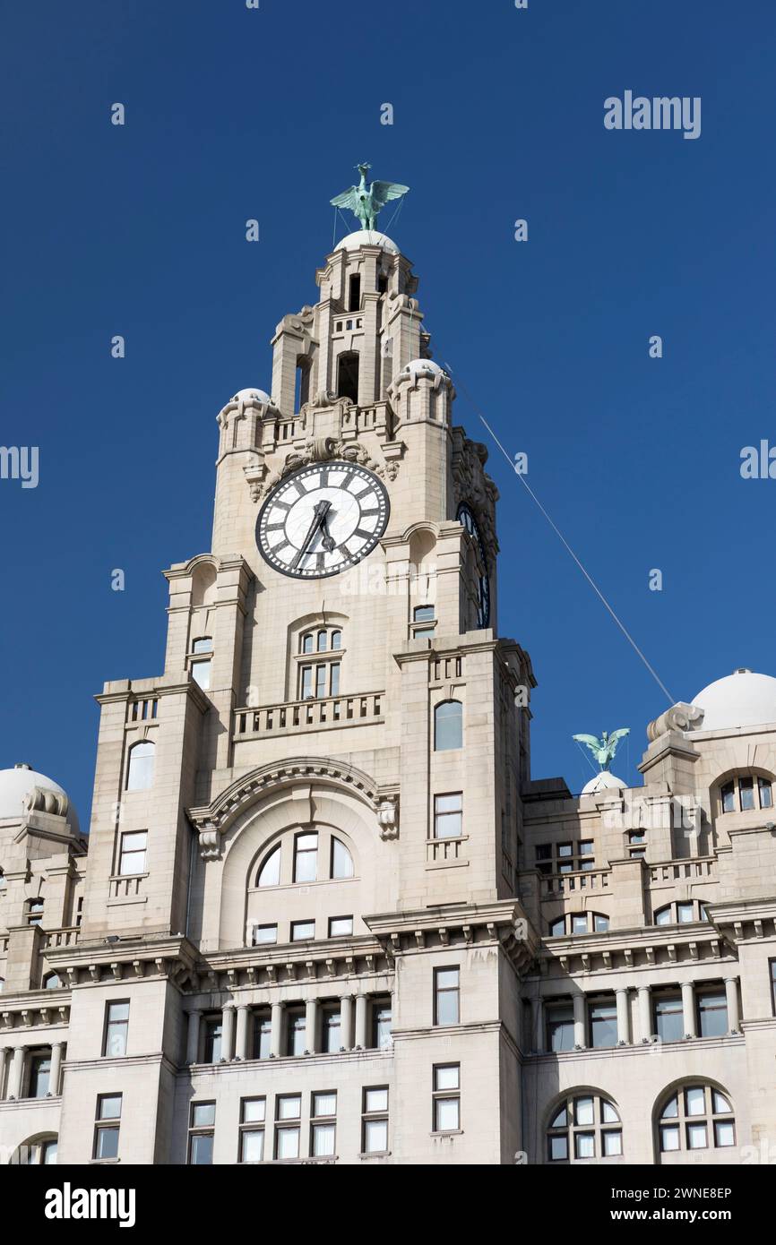 Royal liver building facade hi-res stock photography and images - Alamy