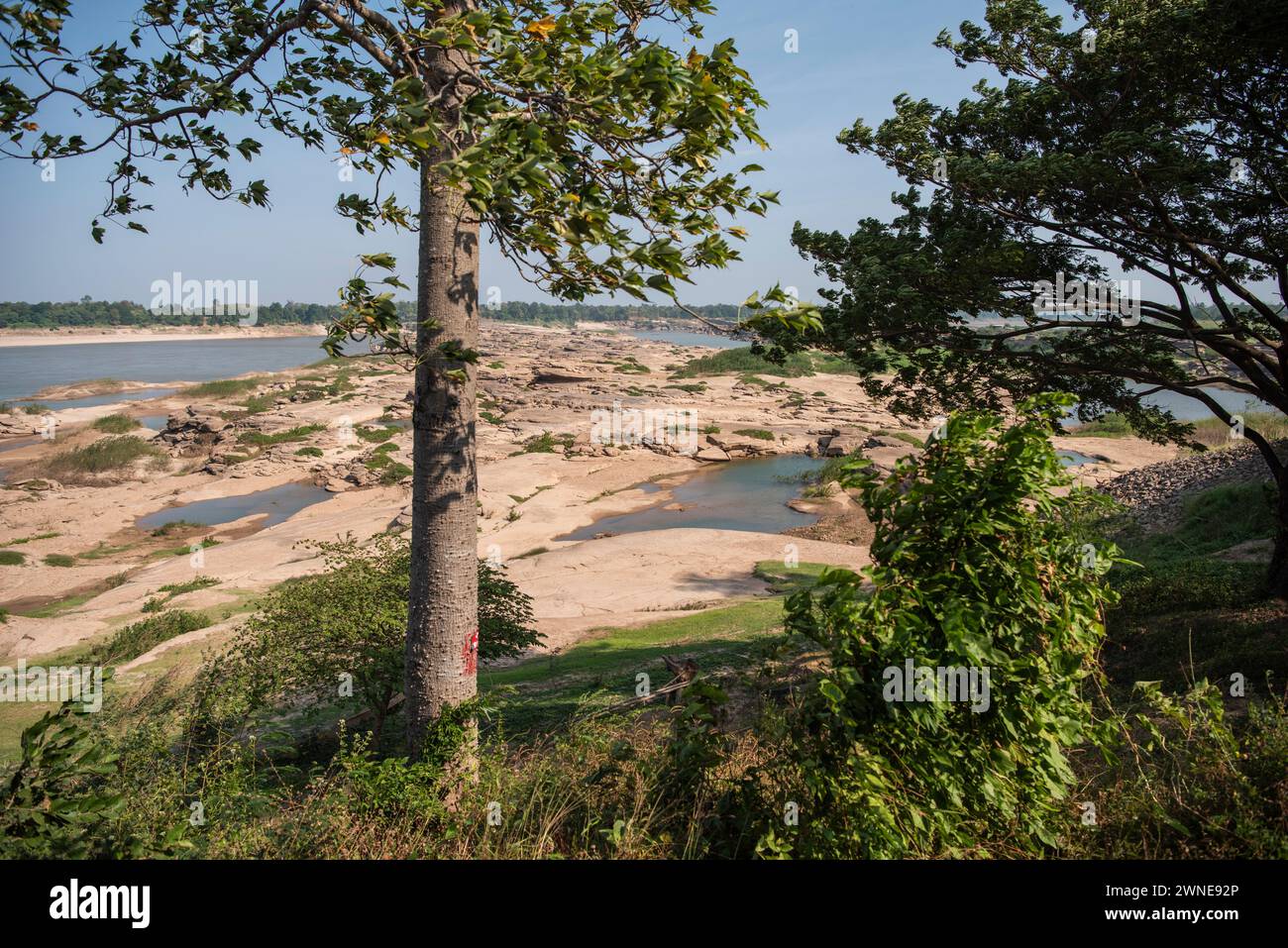 Kaeng chom dao hi-res stock photography and images - Alamy