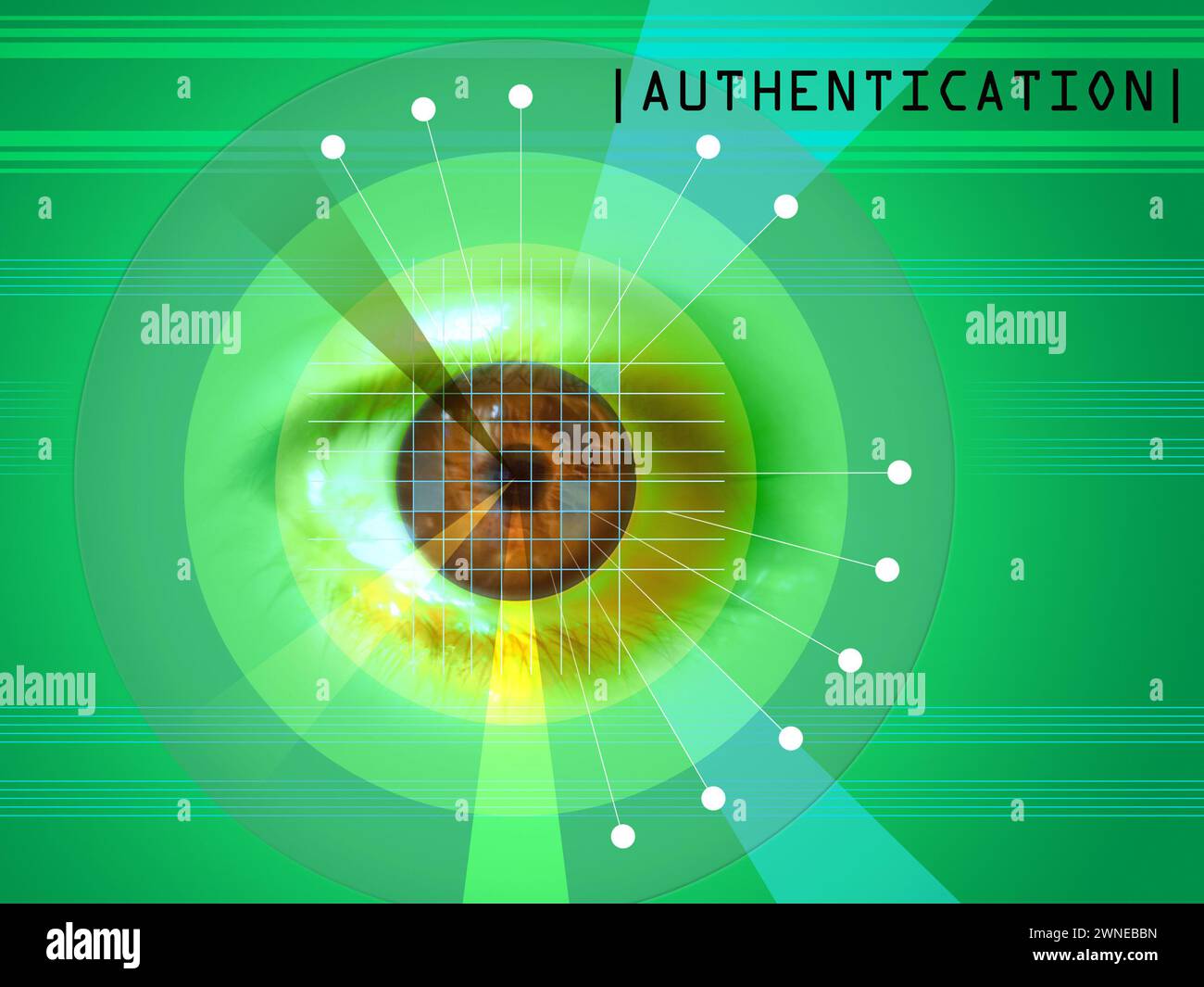 Retina scanning as a security system. Digital illustration Stock Photo ...