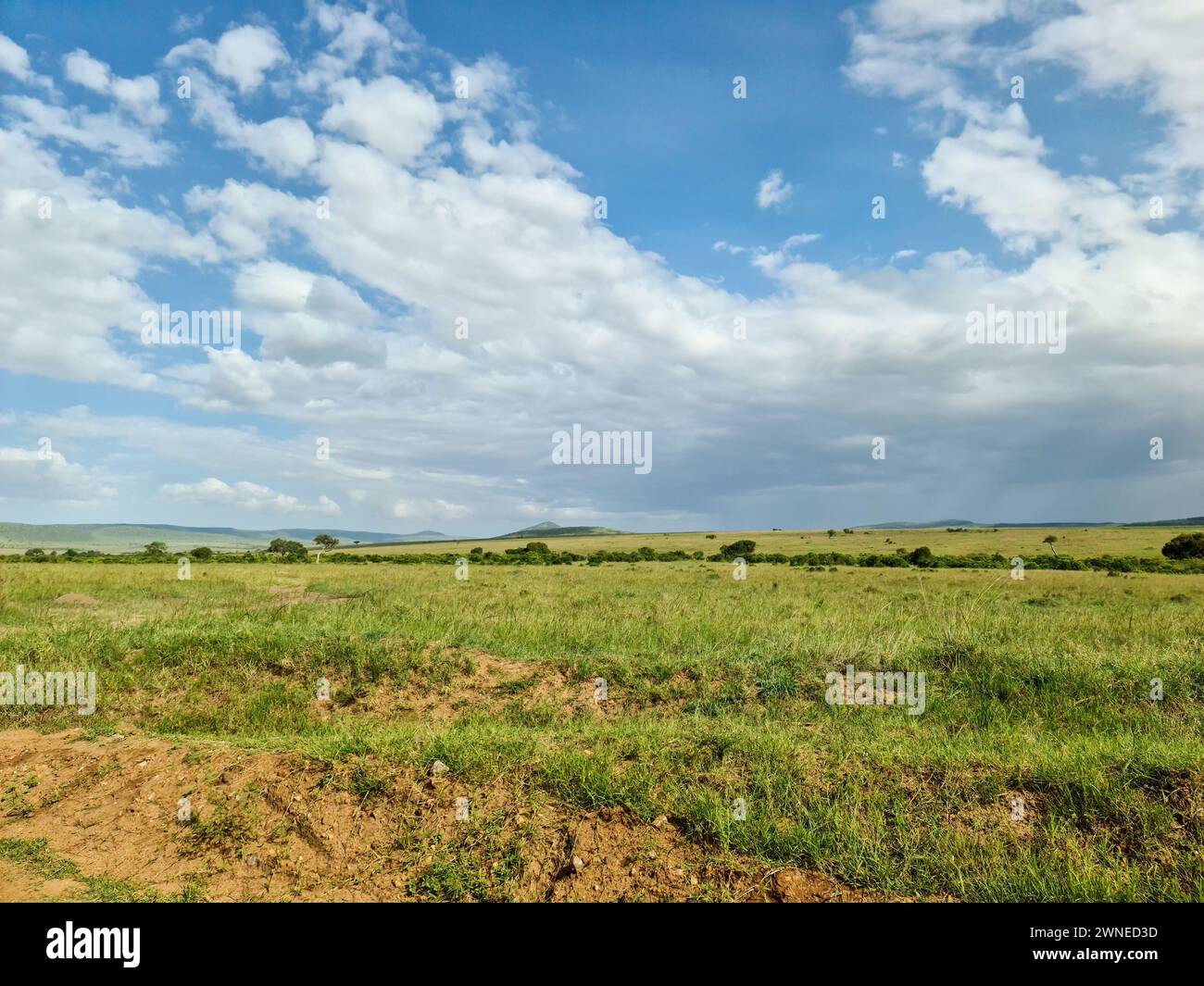 Typical savannah landscape in the heart of Africa during the rainy ...