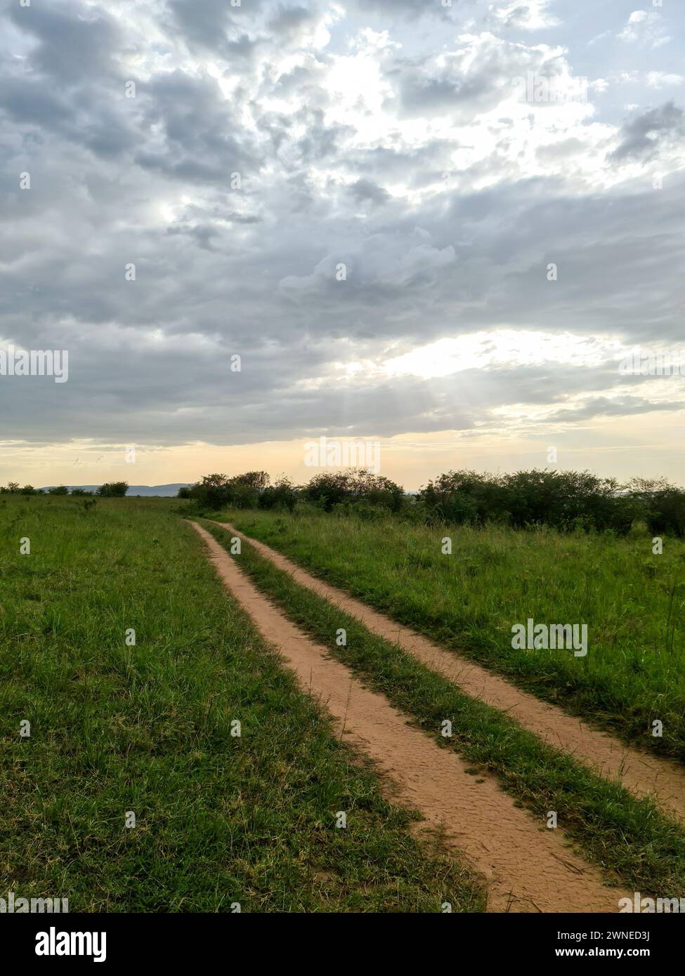 Typical savannah landscape in the heart of Africa during the rainy ...