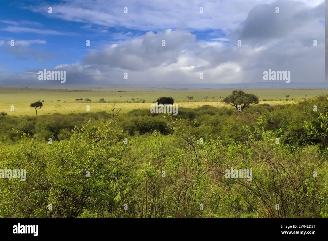 Typical savannah landscape in the heart of Africa during the rainy ...
