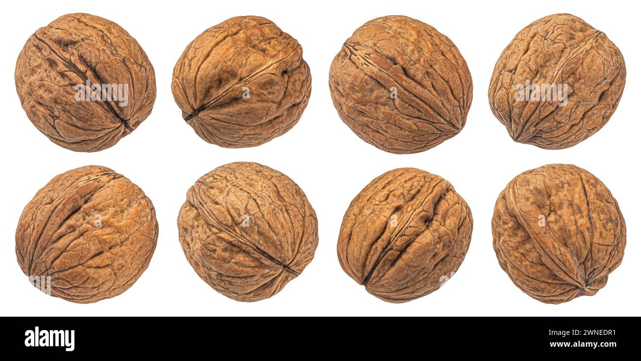 Whole walnuts isolated on white background, collection Stock Photo - Alamy
