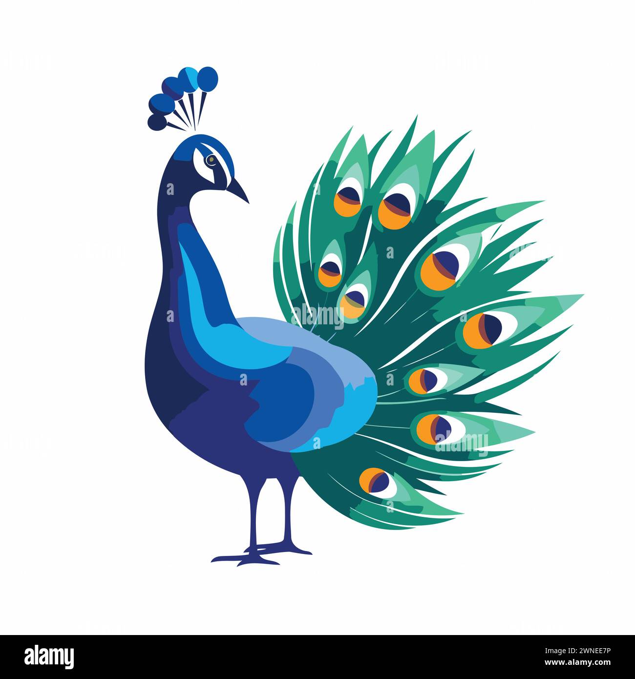 Peacock cartoon vector Illustration isolated on a white background ...