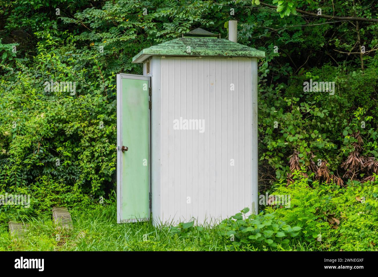 Toilet in a tree hi-res stock photography and images - Alamy