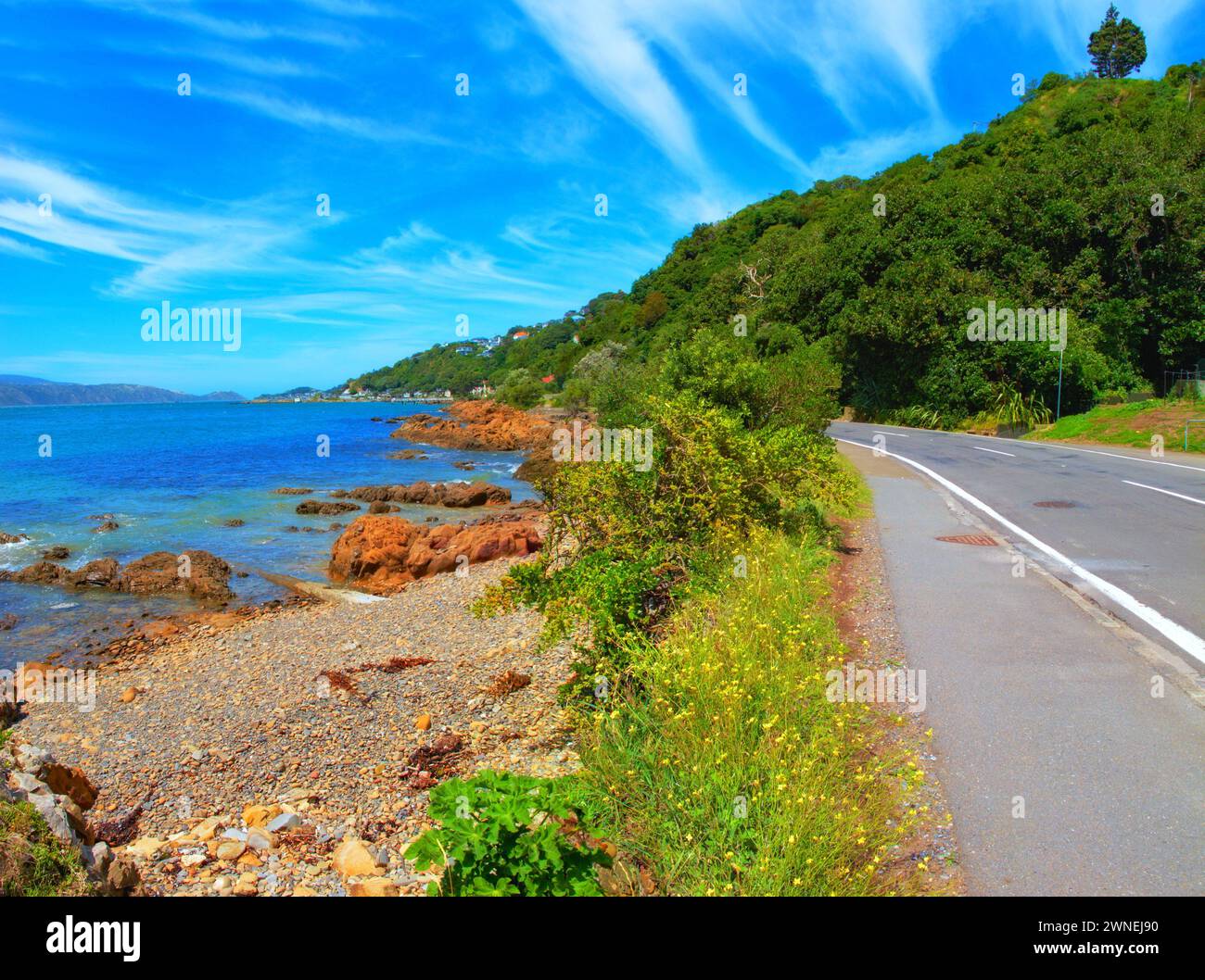 Shoreline, beach and nature on coastal road, forest and summer ...