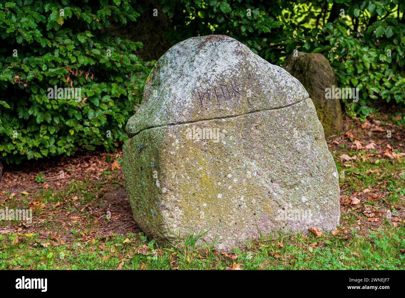 Rune stone with characters on the Baltic Sea, Germany Stock Photo - Alamy