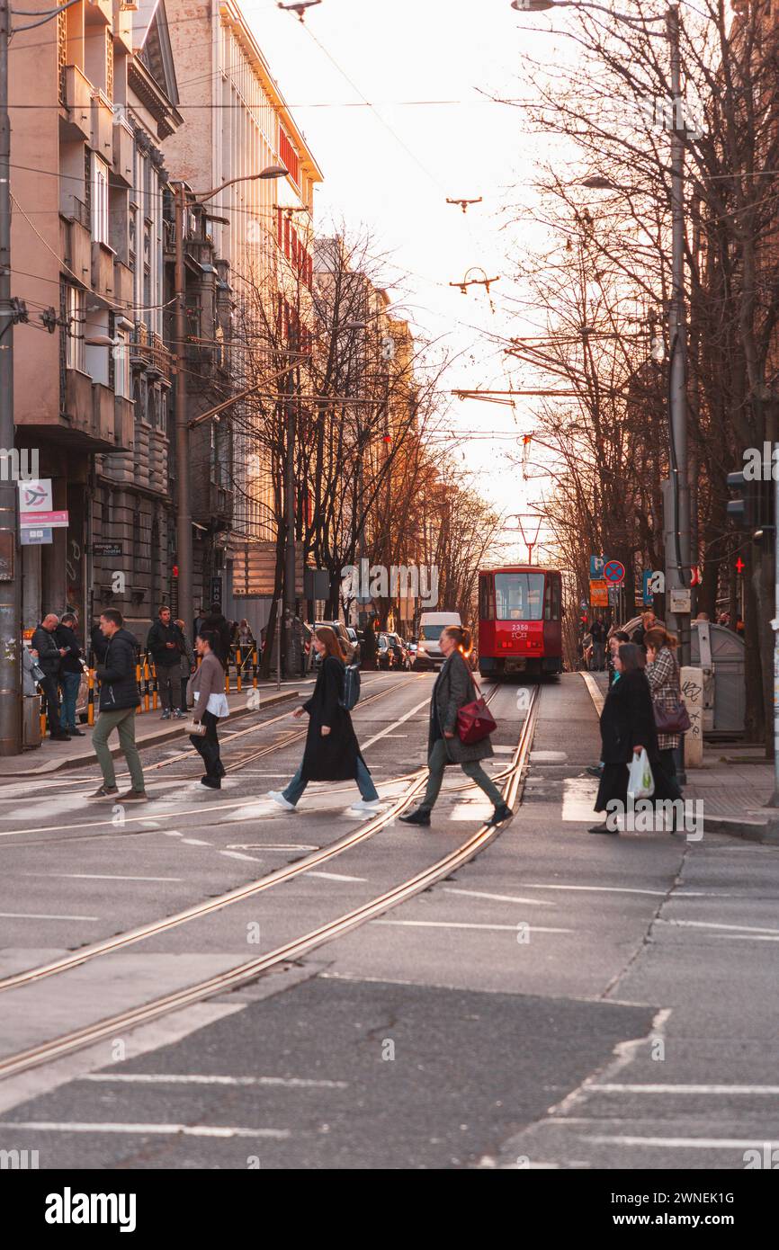 Belgrade, Serbia - 8 FEB 2024: The Belgrade tram system is a 1000 mm ...