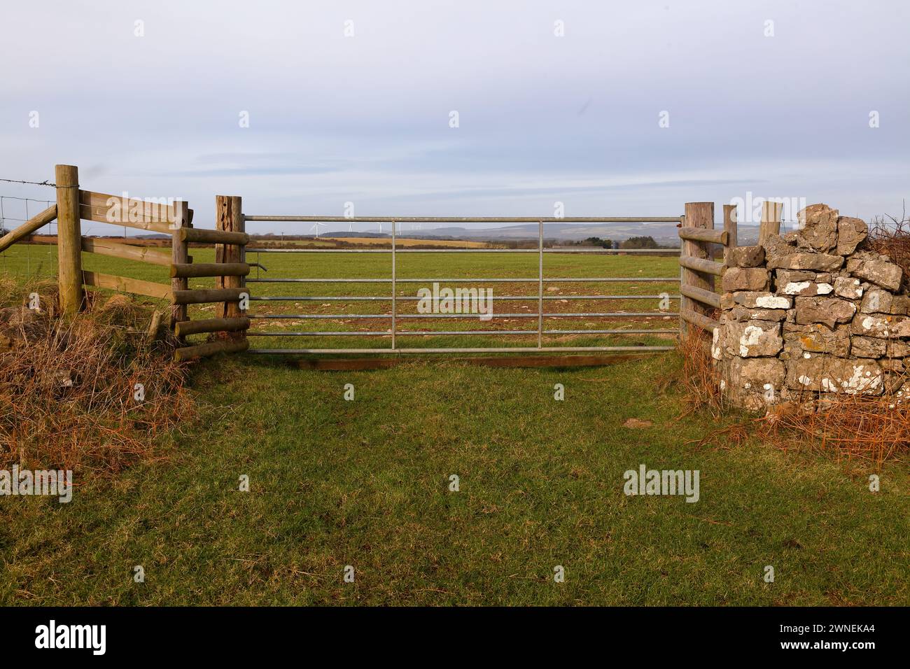 A relatively new Galvanised steel seven bar gate to keep the sheep and ...