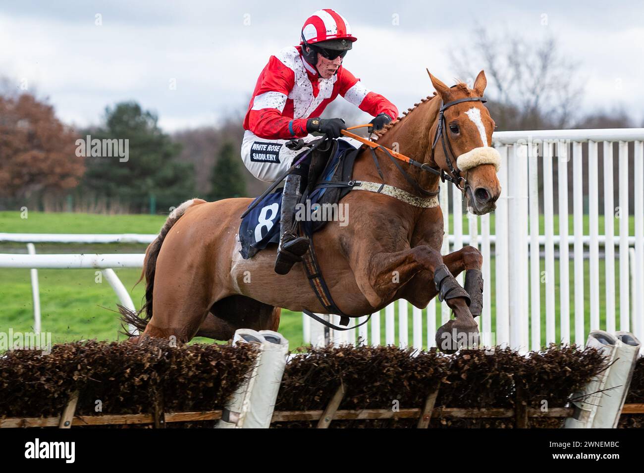 John dawson jockey hi-res stock photography and images - Alamy