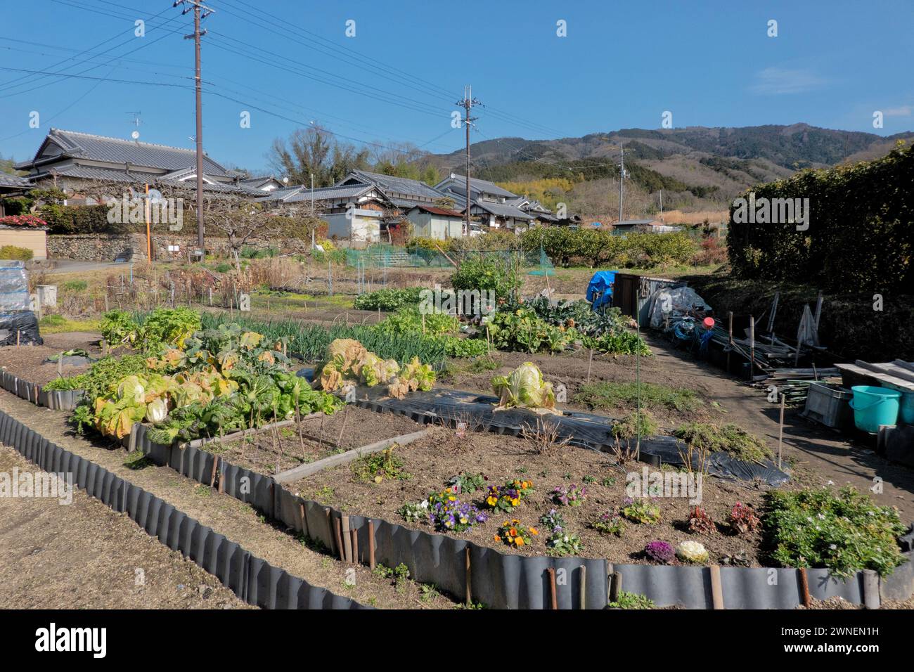 Vegetable garden on the Yamanobe no Michi trail, Nara, Japan Stock ...