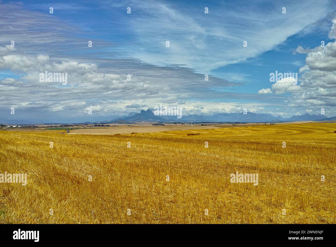 Open, field and landscape with clouds in sky for wellness, nature and ...