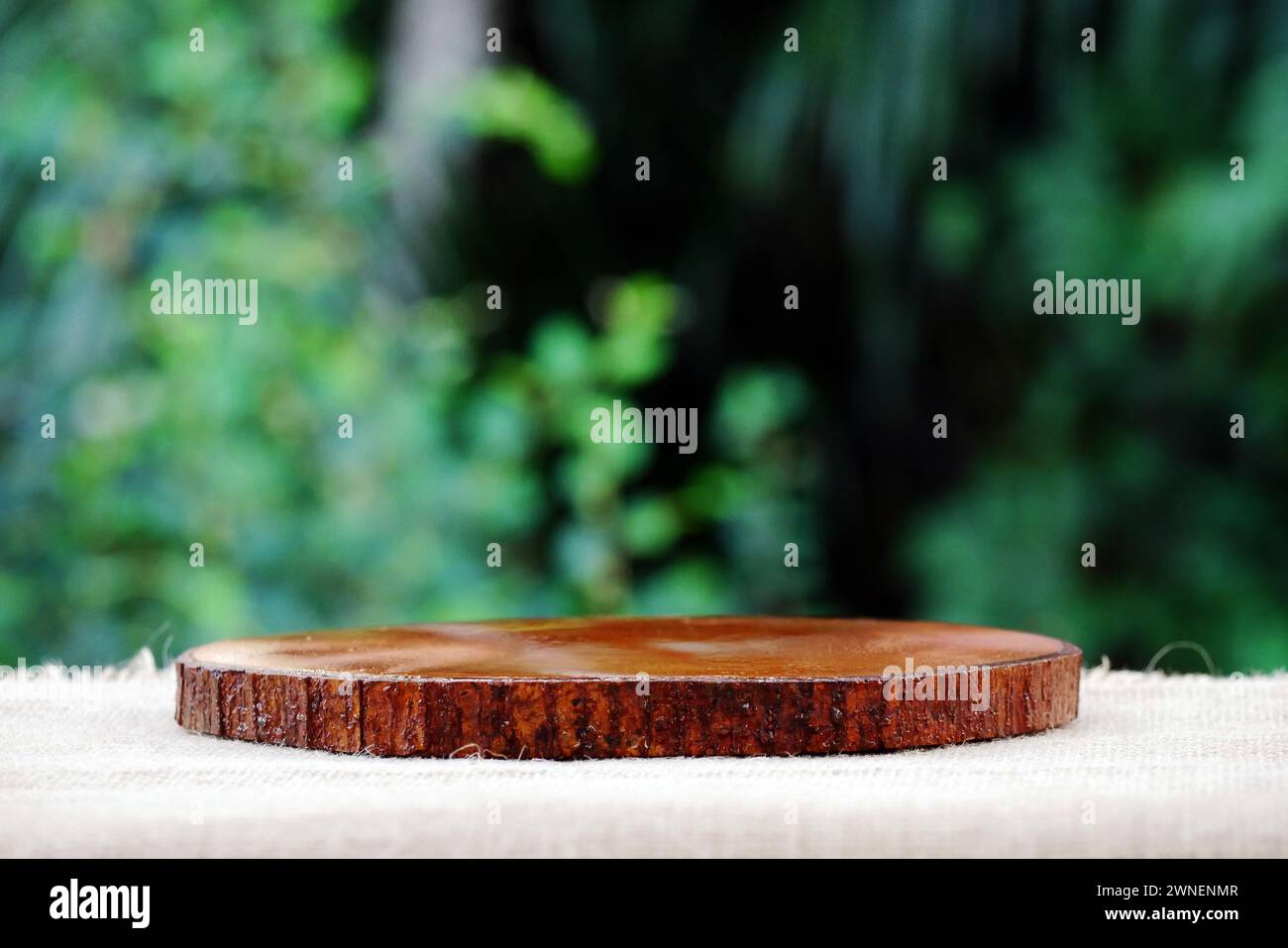 Blank round wooden product display table cylindrical round geometric ...