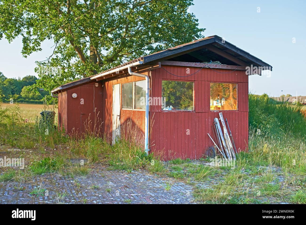 Countryside, grass and field with broken cabin with vintage ...