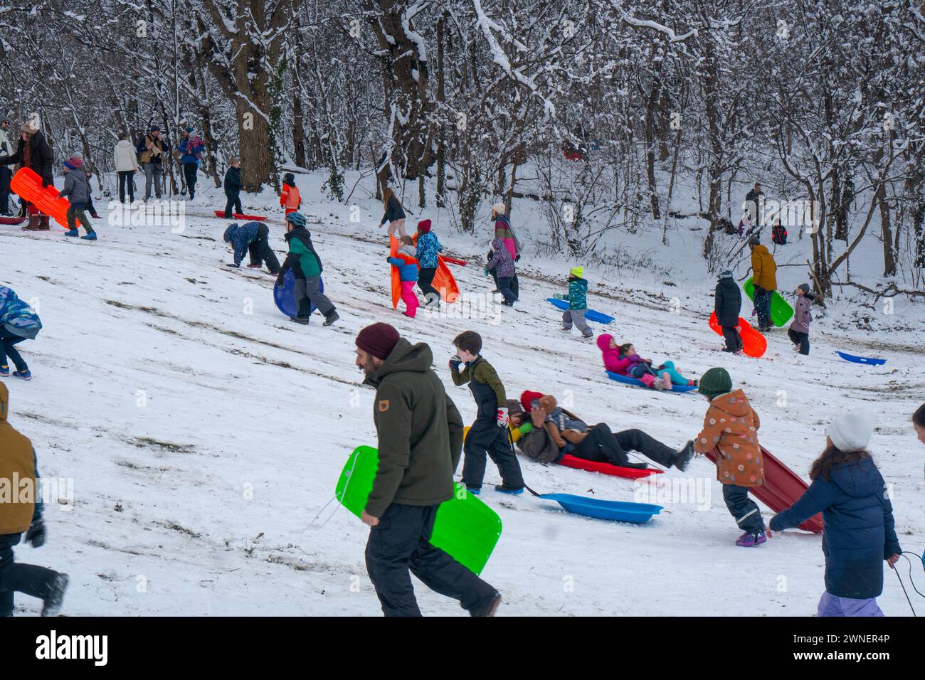 Children and families enjoy sledding in Prospect Park after the first ...