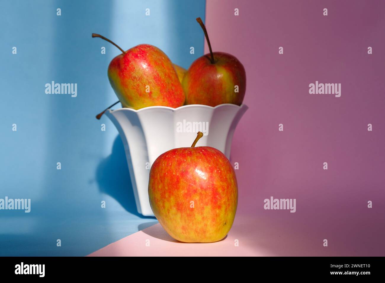 Photo of an apple in a container on a pink and blue background Stock ...