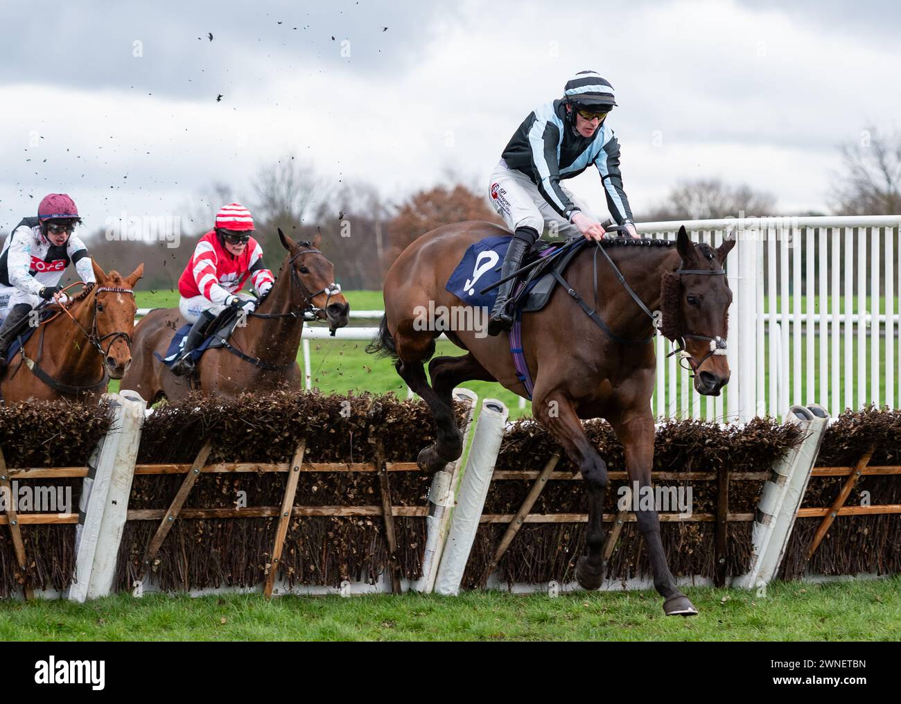 Equine racing photographers hi-res stock photography and images - Alamy