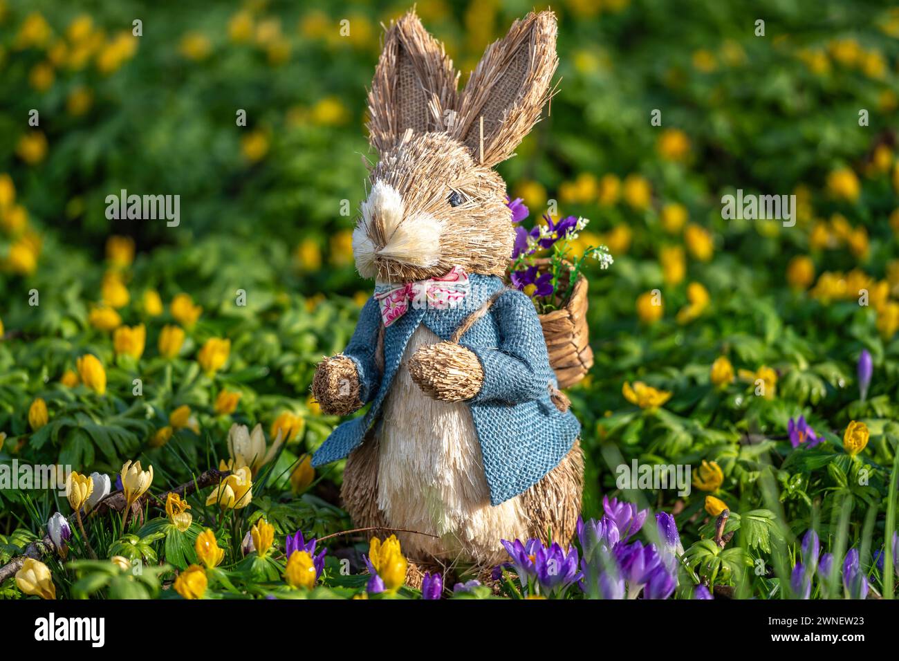 Augsburg, Bavaria, Germany - 2 March 2024: Easter bunny on a colorful ...