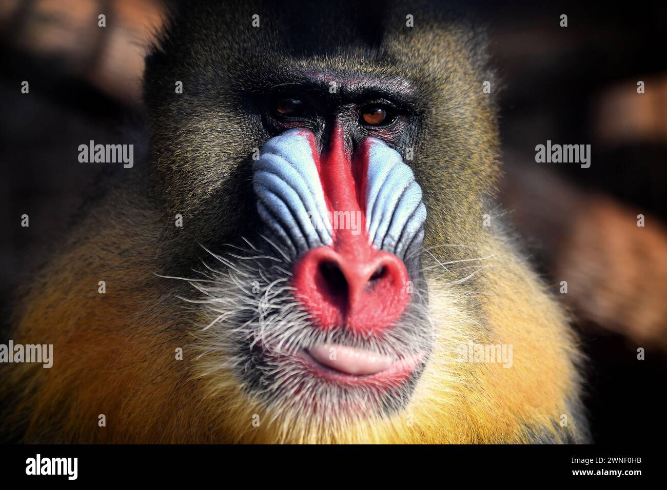 Colouring of blues hi-res stock photography and images - Alamy