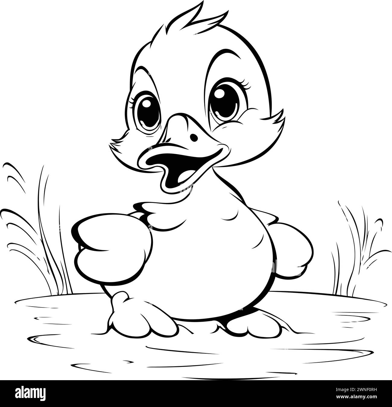 Little duckling Black and White Stock Photos & Images - Alamy