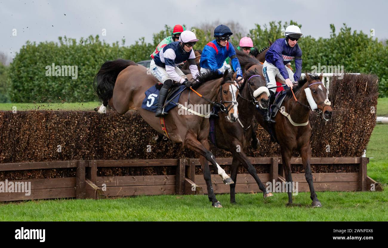 Malpas horse hi-res stock photography and images - Alamy