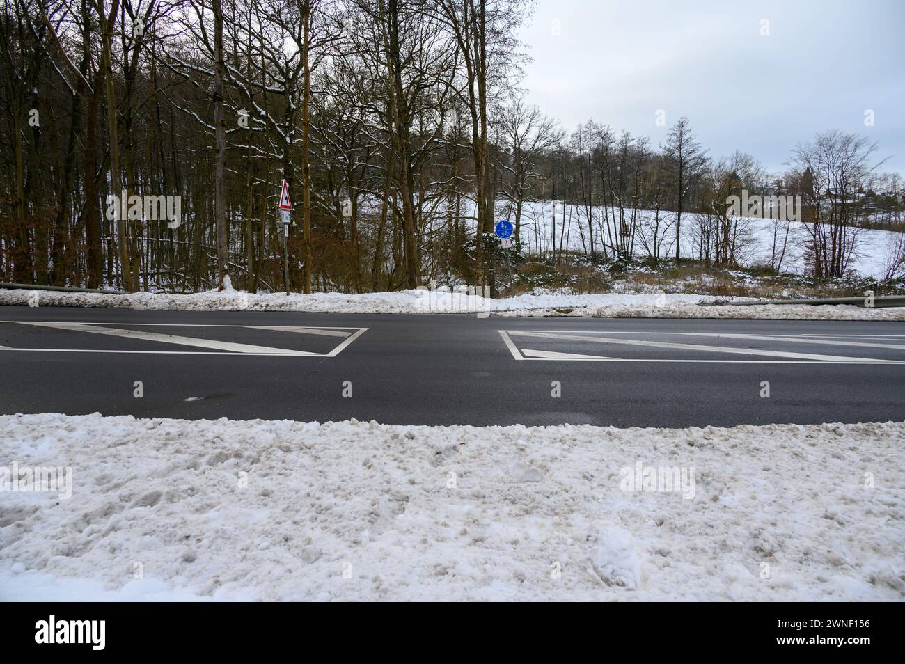 Car crossing forest road perfectly hi-res stock photography and images ...
