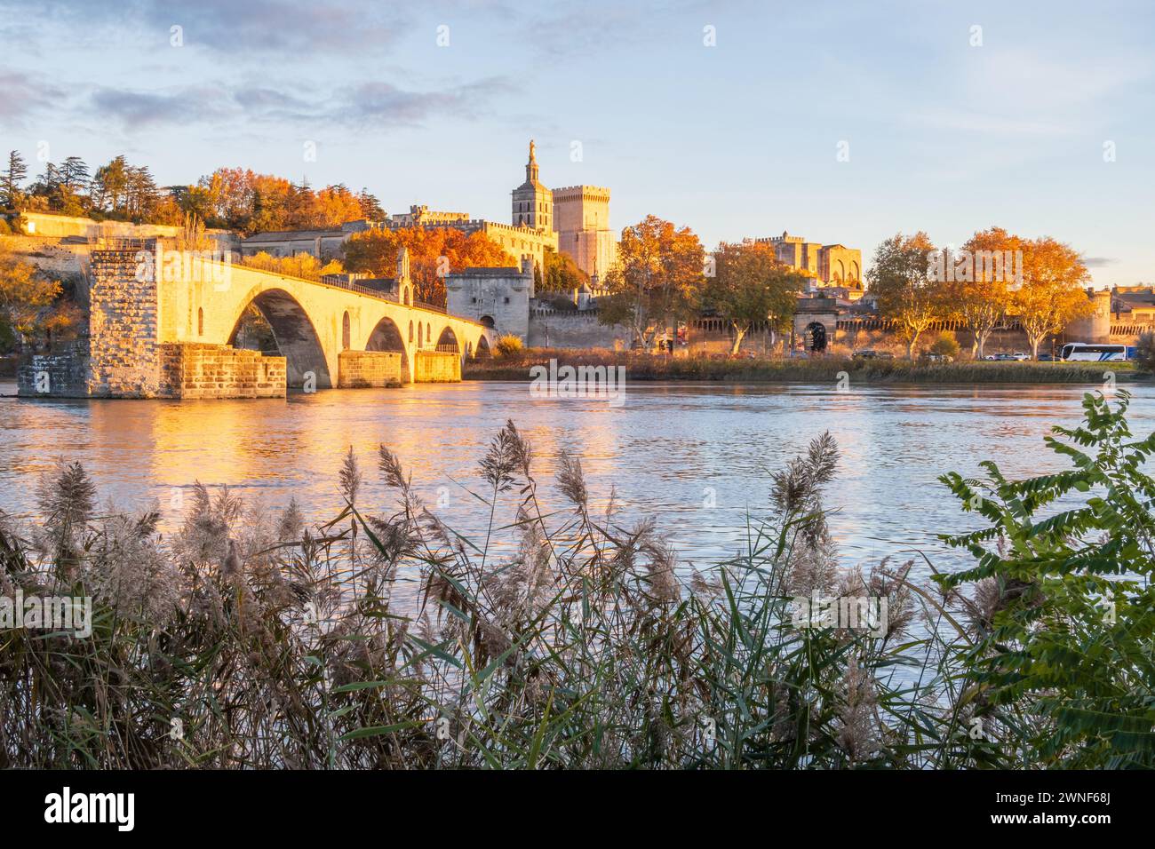 Avignon city and his famous bridge, medieval Papal city on the Rhone ...