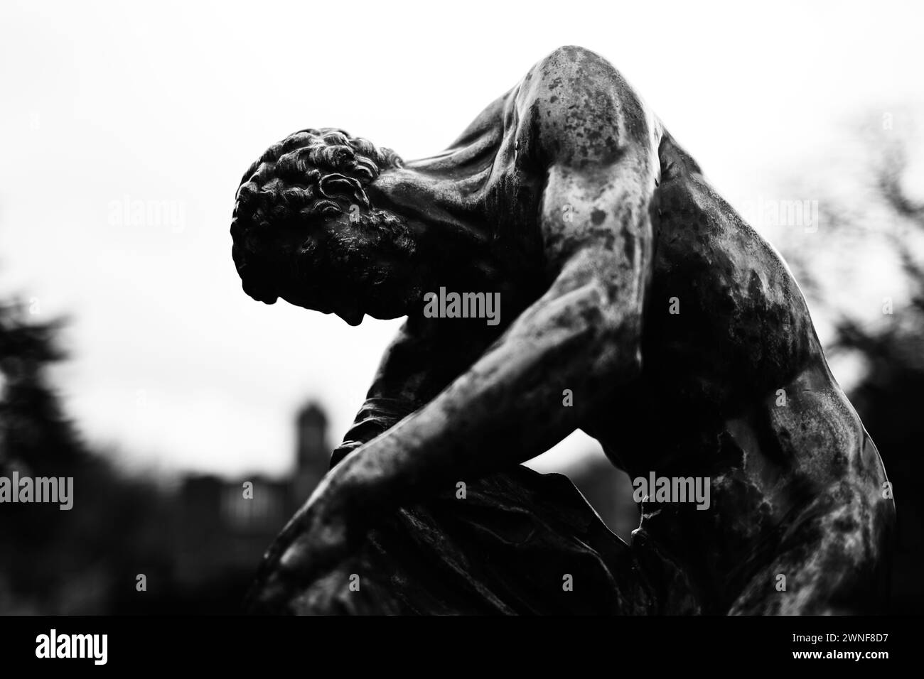 Milo of Croton Stock Photo - Alamy
