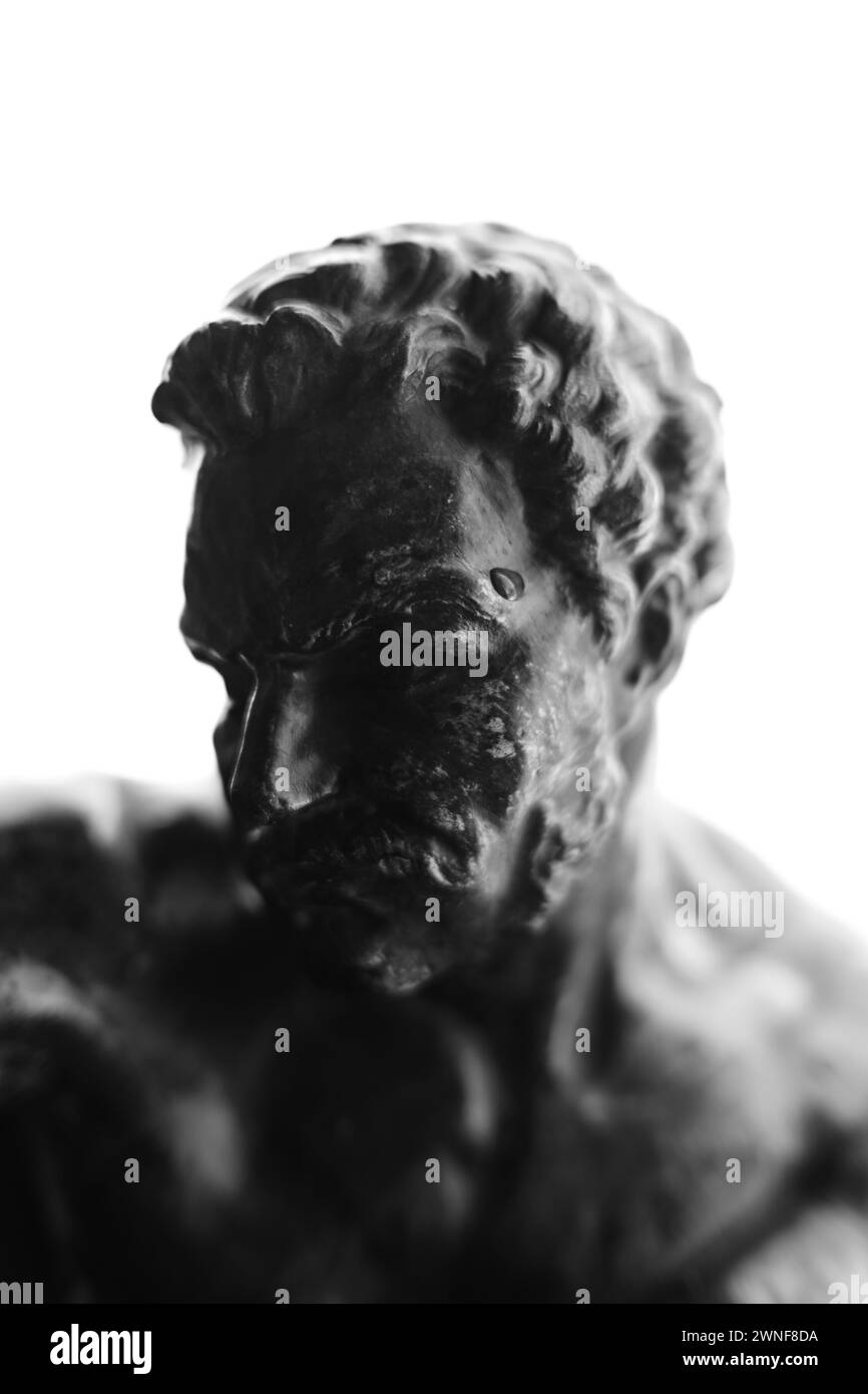 Milo o croton hi-res stock photography and images - Alamy