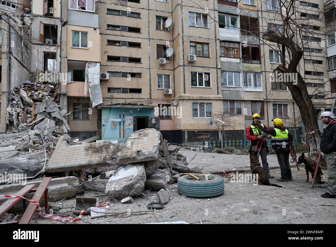 Non Exclusive: ODESA, UKRAINE - MARCH 2, 2024 - Canine handlers are ...