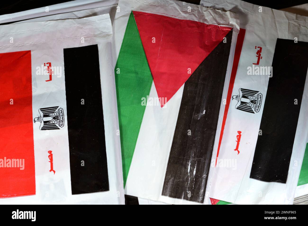 The Egyptian and The Palestinian flag, Translation of Arabic (Long live ...