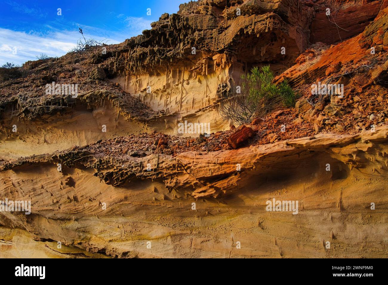 Fossils and banded sandstone hi-res stock photography and images - Alamy