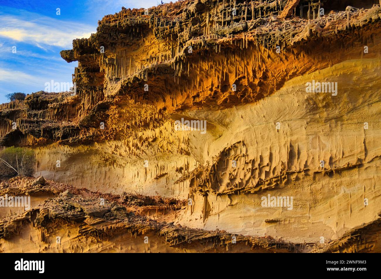 Trace fossil hi-res stock photography and images - Alamy