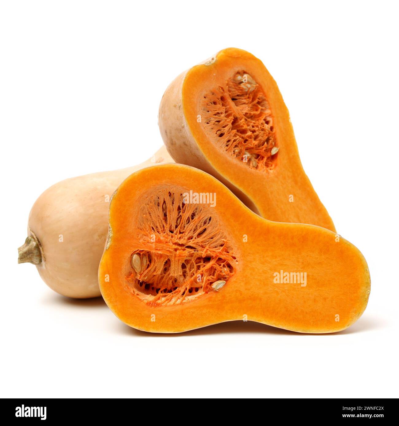 butternut squash isolated on white background Stock Photo - Alamy