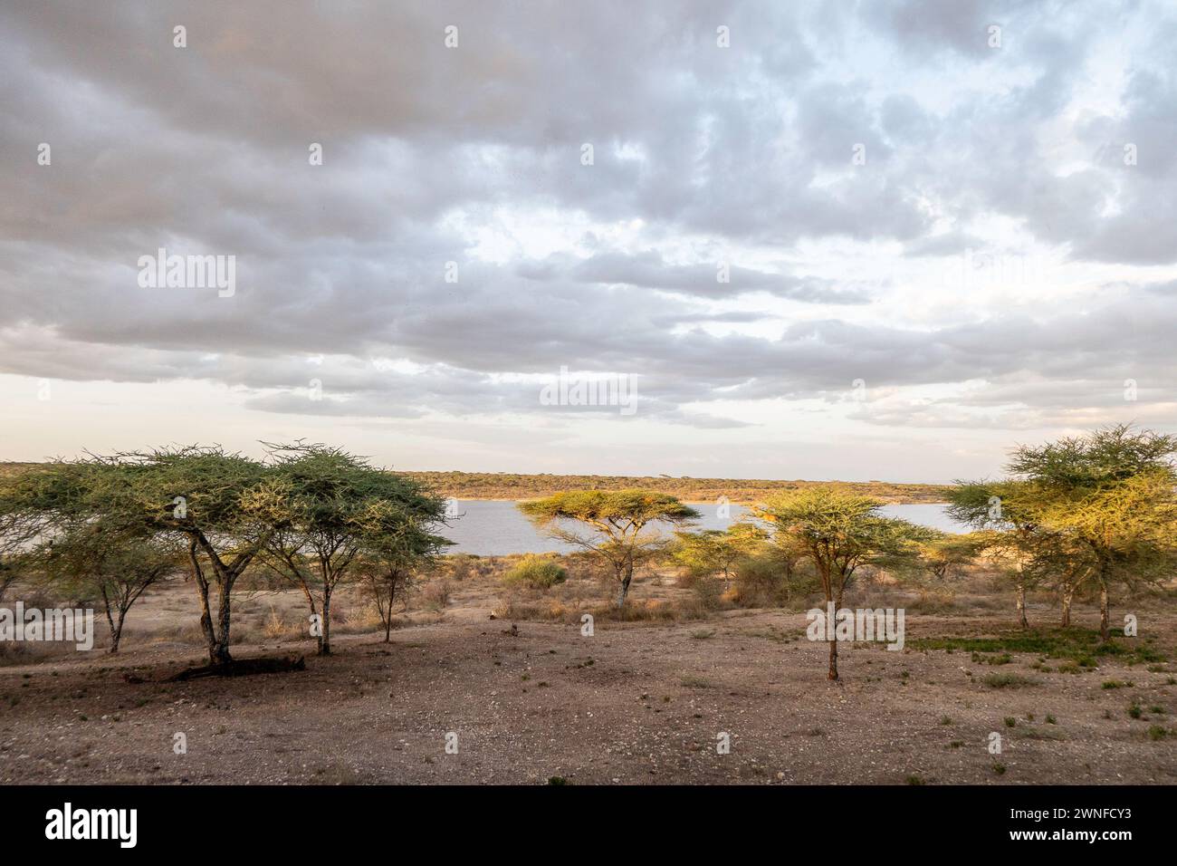 Serengeti, Tanzania, October 26, 2023. end of day landscape around Lake ...