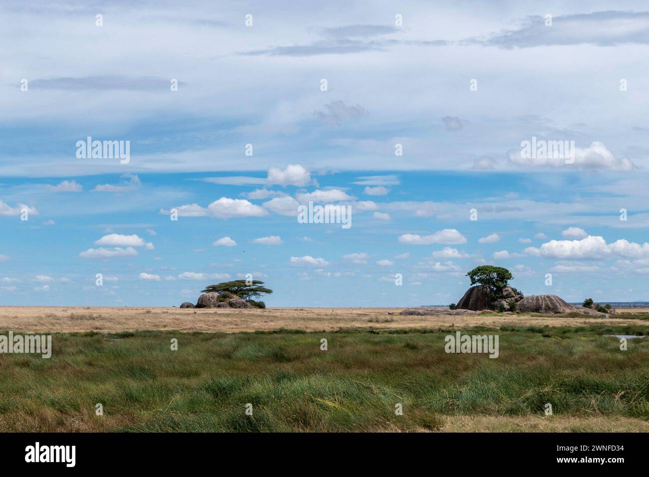 Serengeti, Tanzania, October 27, 2023. Beautiful Serengeti landscape ...