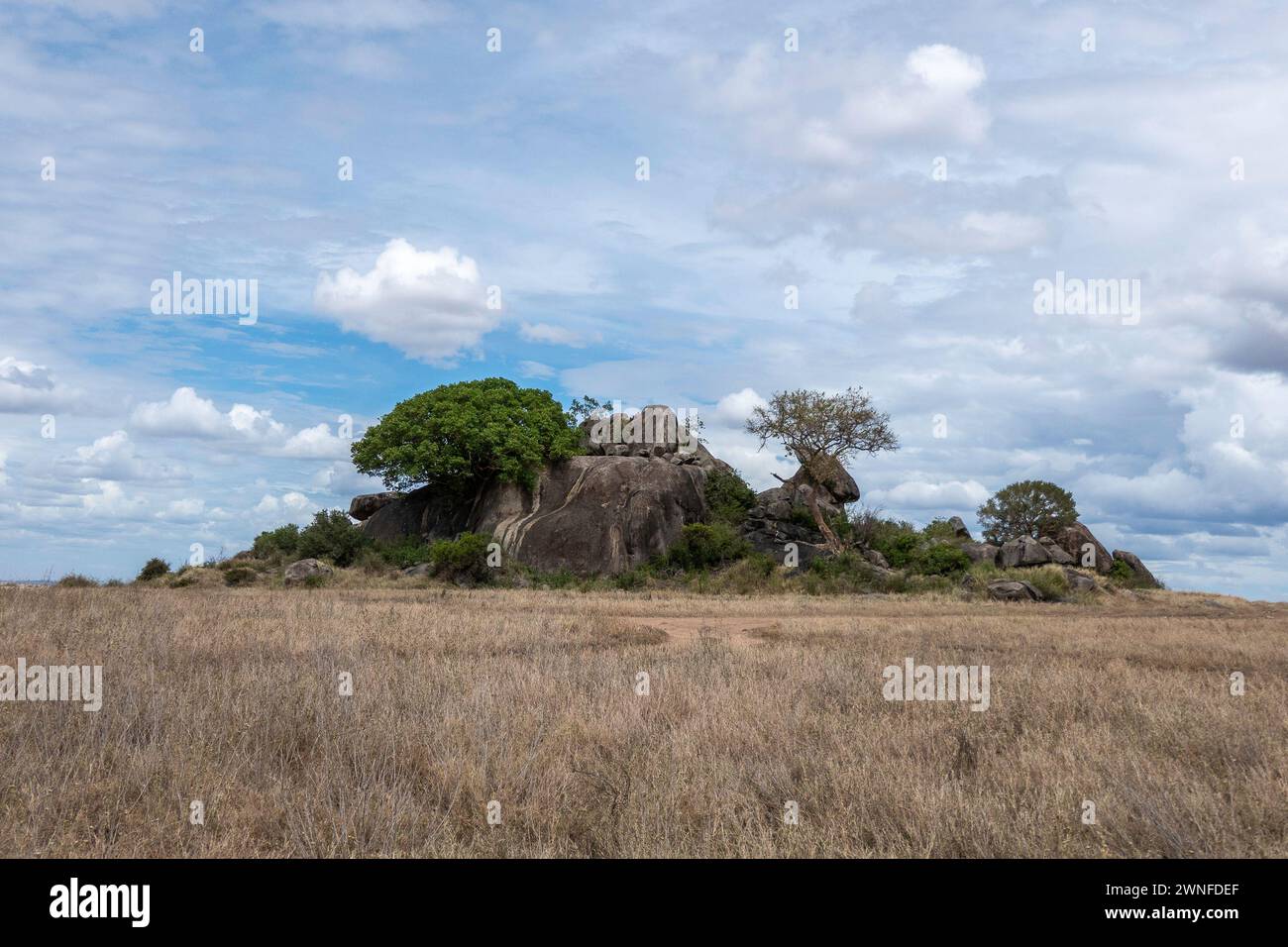 Serengeti, Tanzania, October 28, 2023. Beautiful Serengeti landscape ...