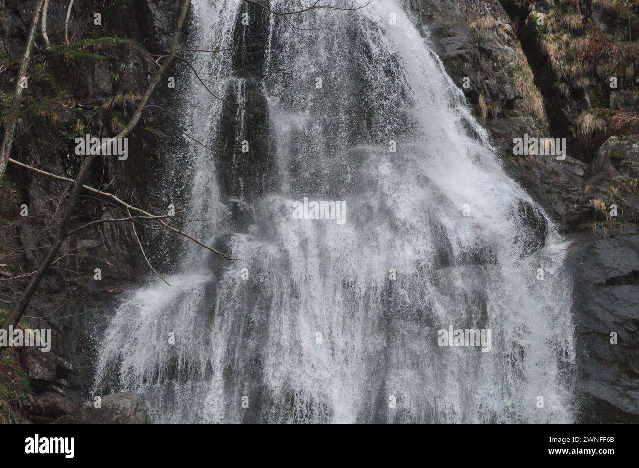 Waterfall of Saut in Natural Marguareis Park, Piedmont, Italy Stock ...