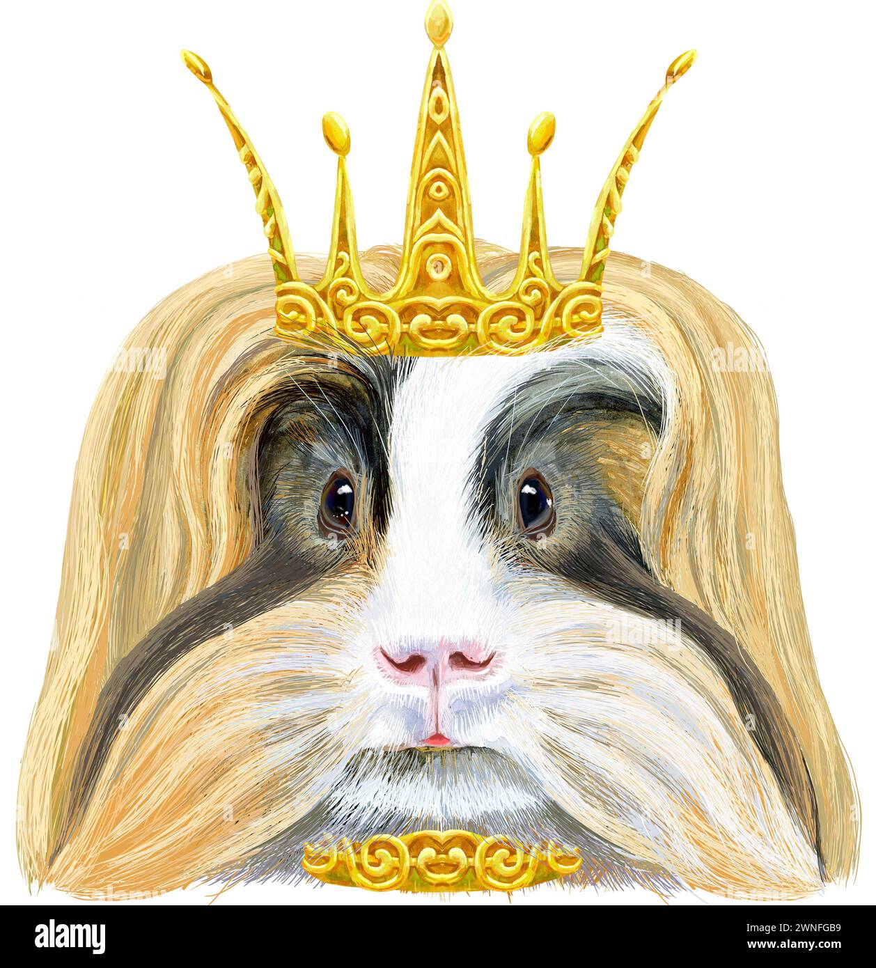 Cute cavy in golden crown. Pig for T-shirt graphics. Watercolor Sheltie ...