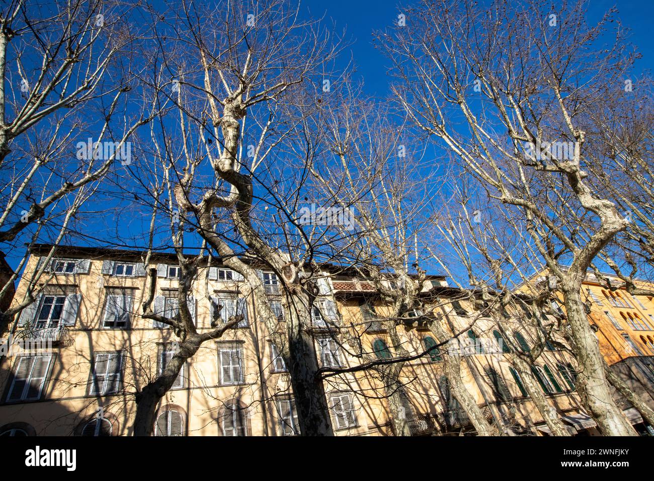 Exterior of typical Italian buildings in on Piazza Napoleone in the ...
