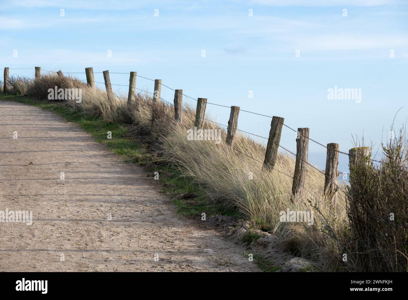 fenced path over the dunes on the dutch north sea in zeeland Stock ...