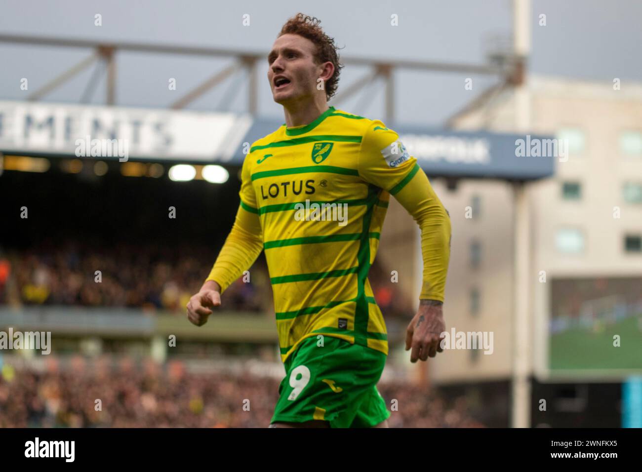 Josh Sargent of Norwich City celebrates after making it 1-0 during the ...