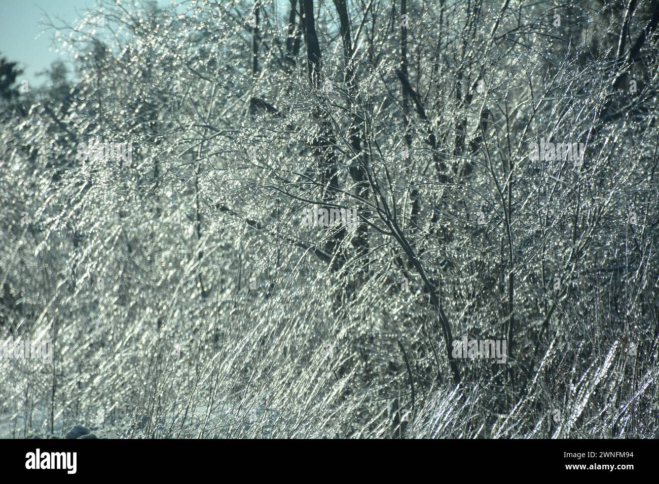 Ontario ice hi-res stock photography and images - Alamy