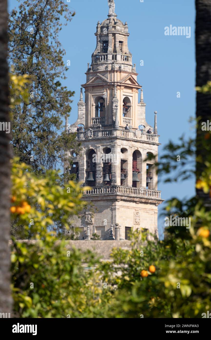 Great mosque of seville hi-res stock photography and images - Alamy