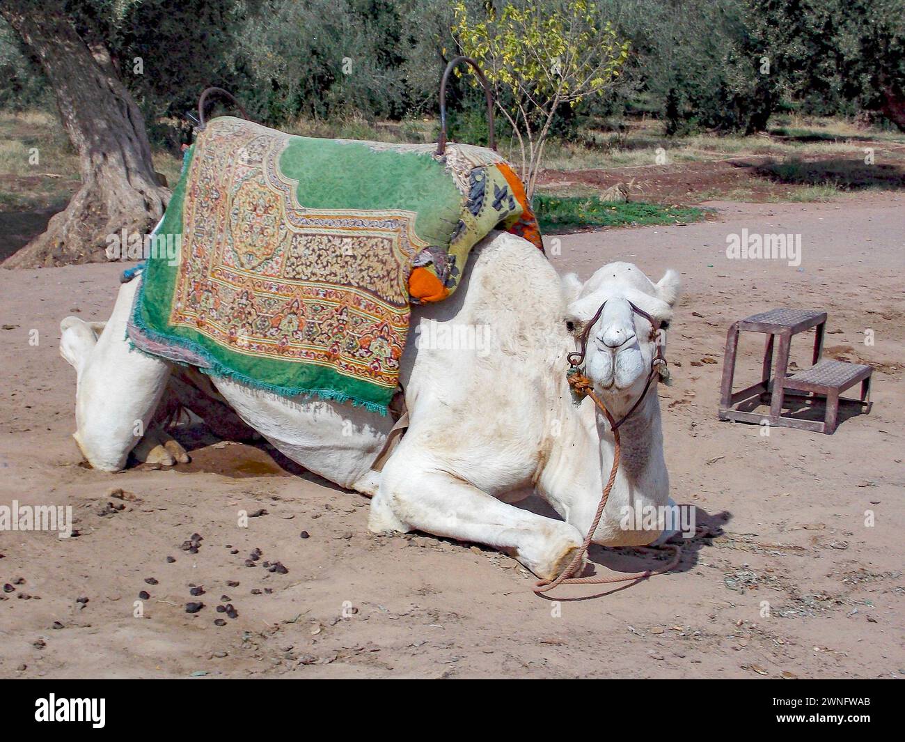 African folklore hi-res stock photography and images - Alamy