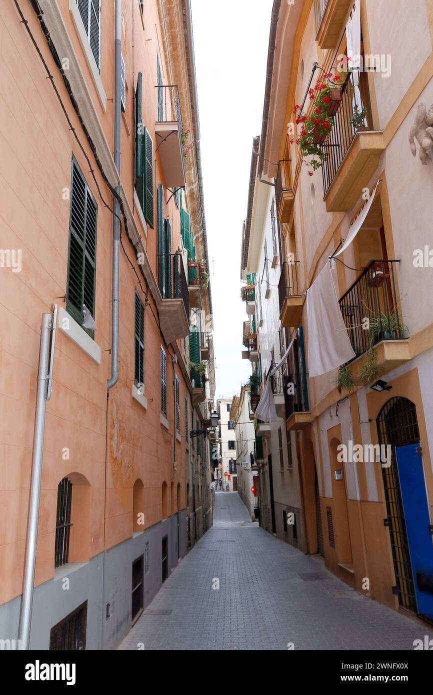 traditional architecture in streets and houses, Palma de Mallorca. The ...