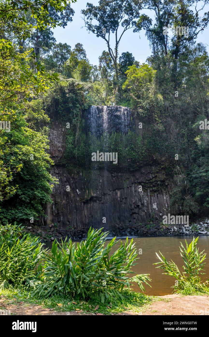 Milla Milla Falls, Atherton Tablelands, Queensland, Australia Stock ...