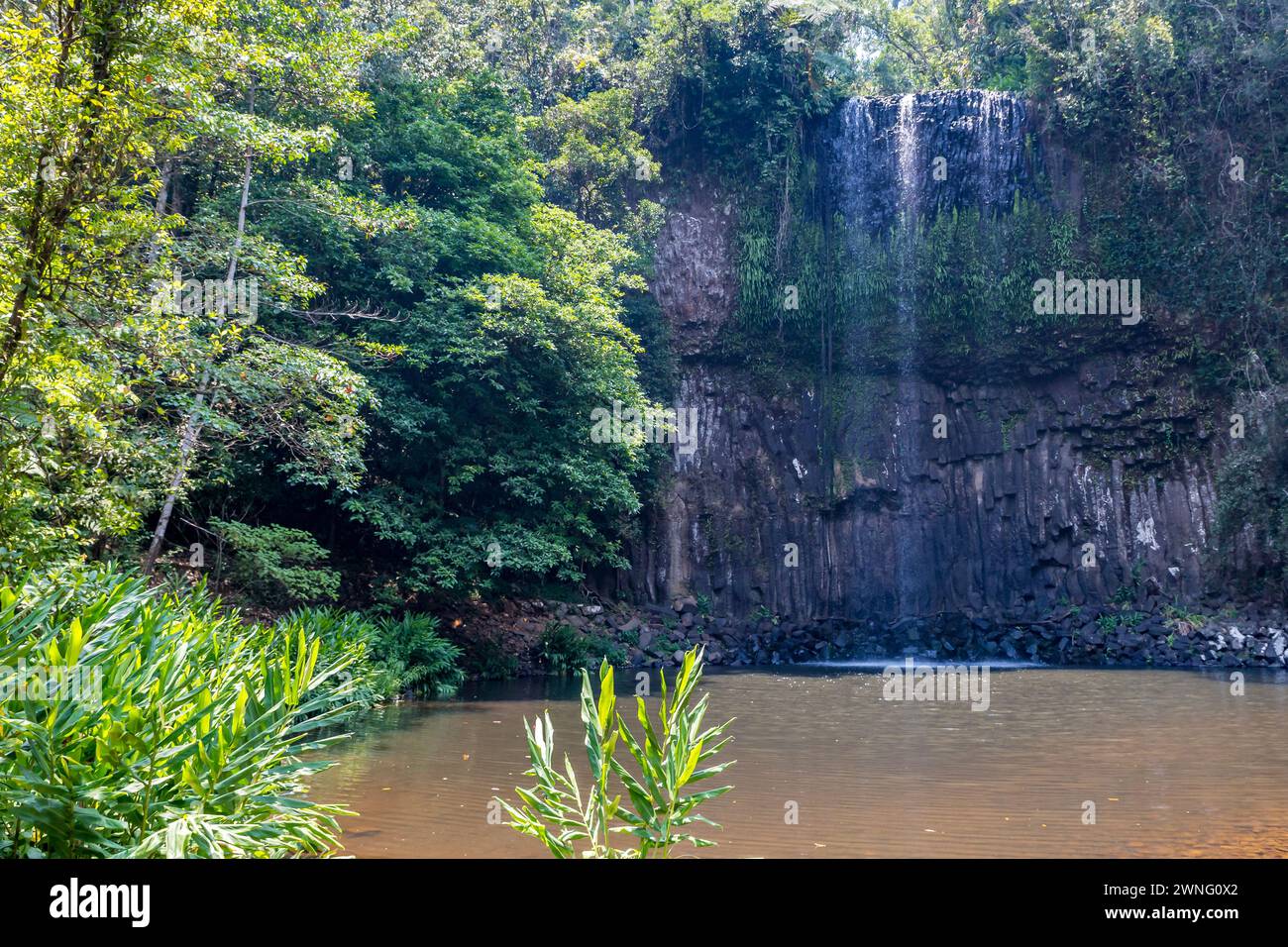 Milla Milla Falls, Atherton Tablelands, Queensland, Australia Stock ...