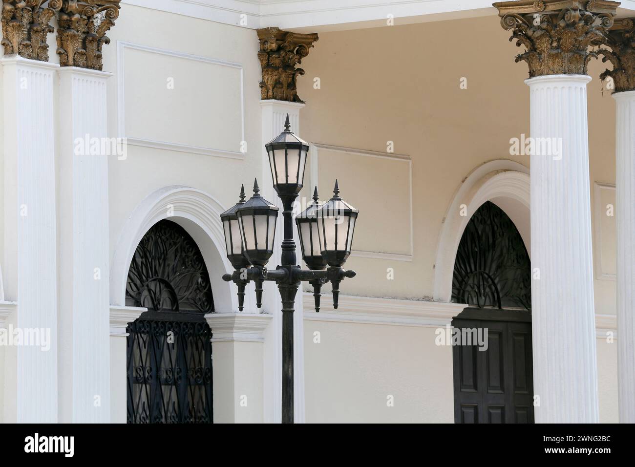 Detail of Palacio Federal Legislativo or Capitolio Federal is a set of ...