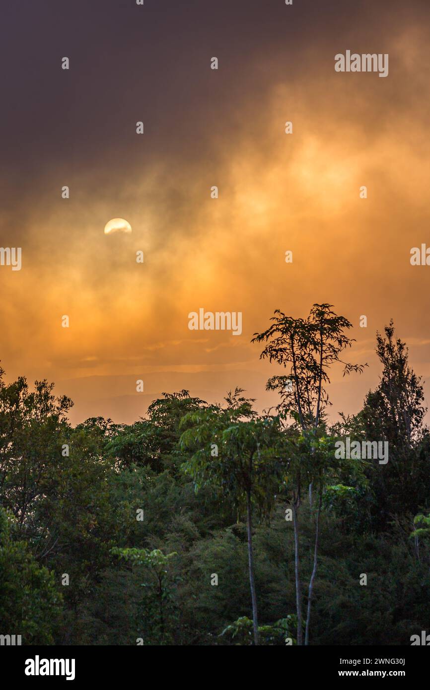 Dramatic Sunset above Rainforest of Lamington National Park, Queensland ...